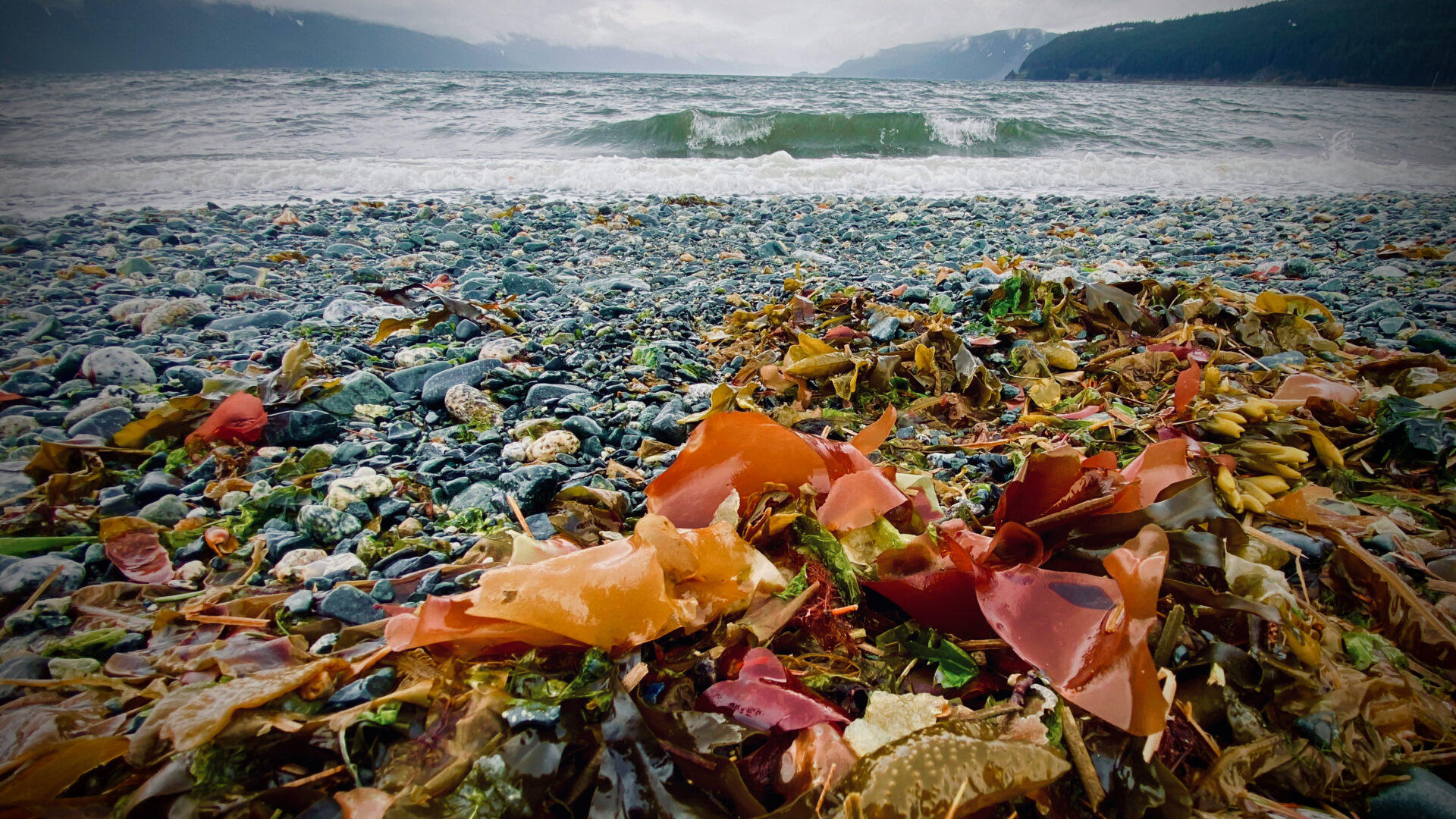 Ocean Quality - Haines Science Center